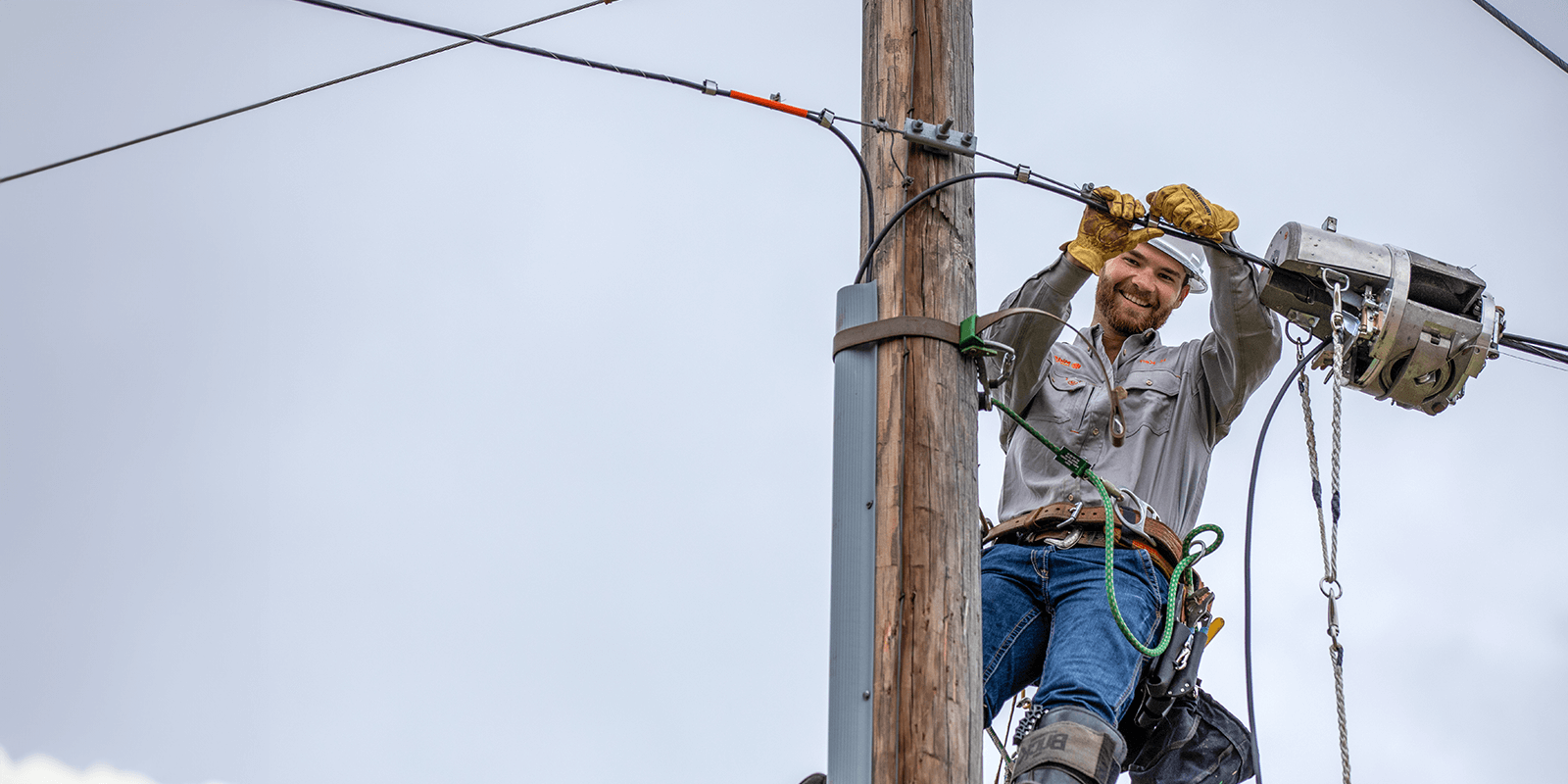 Discover The Midsouth App For Seamless Connectivity